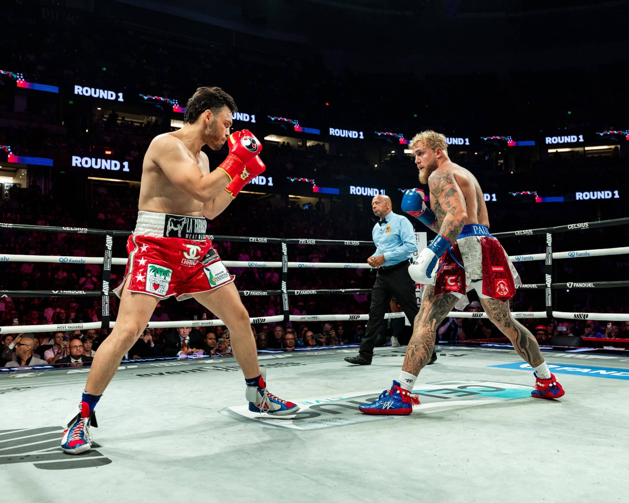 The Boxing Tribune: Boxing News, Fight Results & Expert Insights